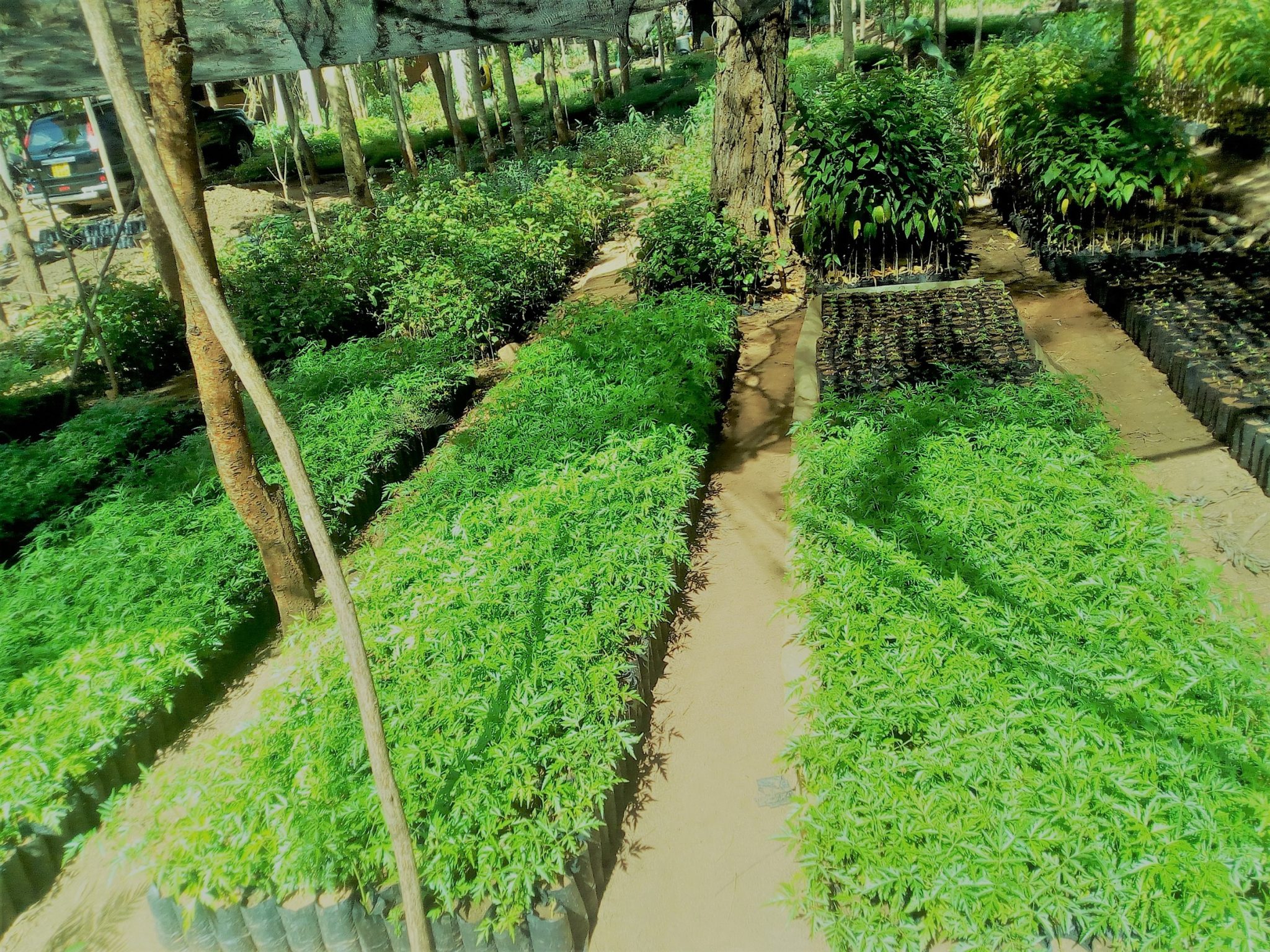 What we do – Drylands Natural Resources Centre(DNRC)